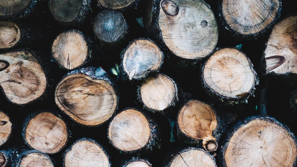 Types of Wood for Building Projects - M.T. Copeland Technologies